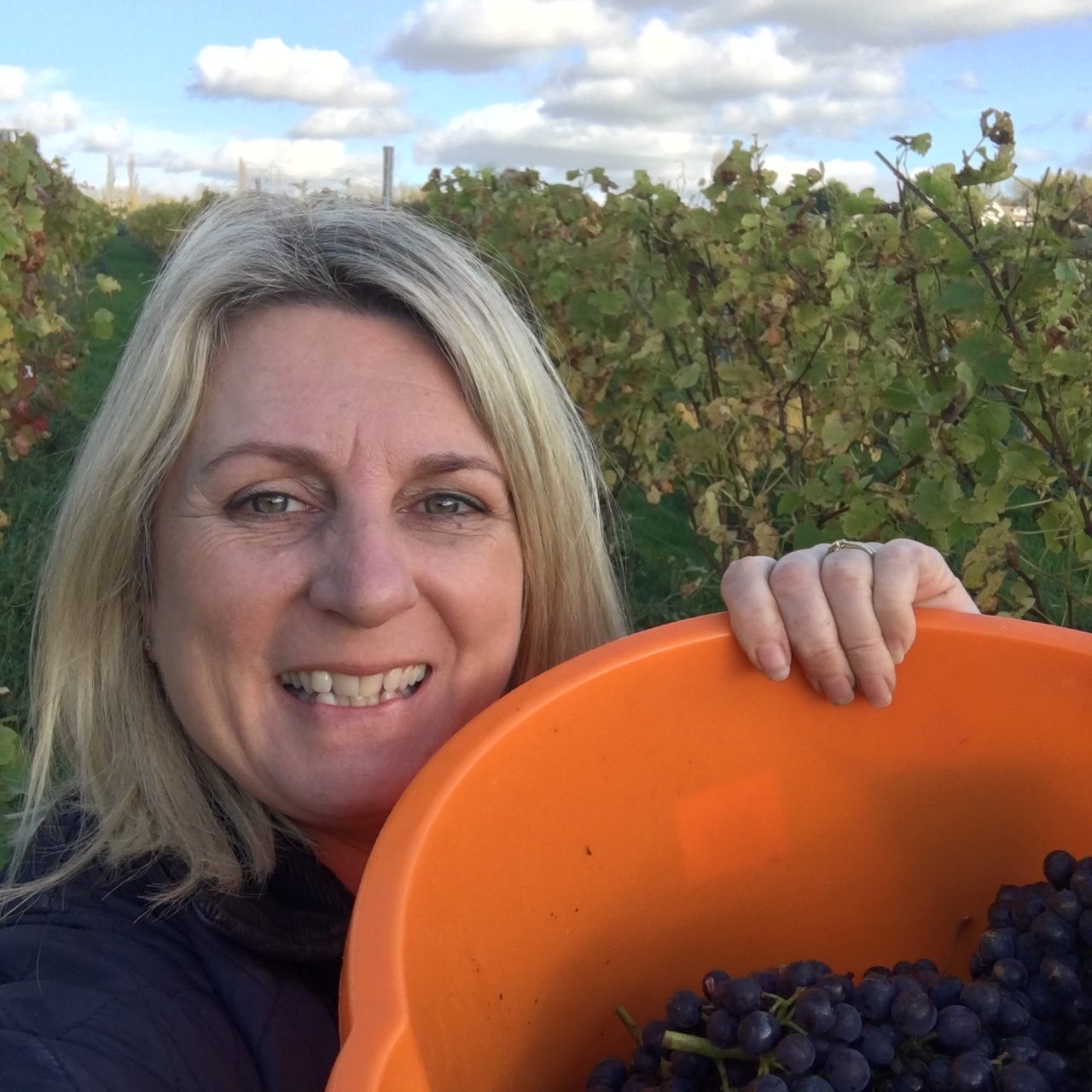 My Tenth Novel A VINTAGE SUMMER is out NOW! – Cathy Bramley